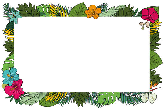 Tropical Borders And Frames