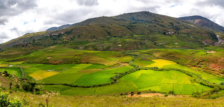 "Madagascar Landscape" Images – Browse 475 Stock Photos, Vectors, and ...