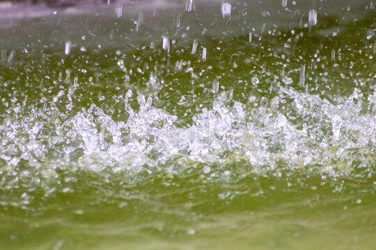 Meagerness Images – Browse 216 Stock Photos, Vectors, and Video | Adobe ...