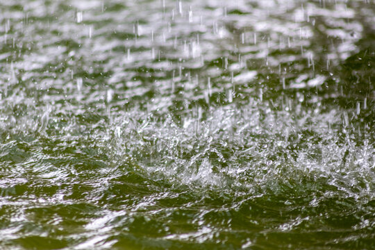 Meagerness Images – Browse 216 Stock Photos, Vectors, and Video | Adobe ...