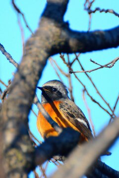 Otterrute Bilder – Durchsuchen 103 Archivfotos, Vektorgrafiken und ...