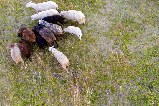 Mismatched Images – Browse 3,381 Stock Photos, Vectors, and Video ...