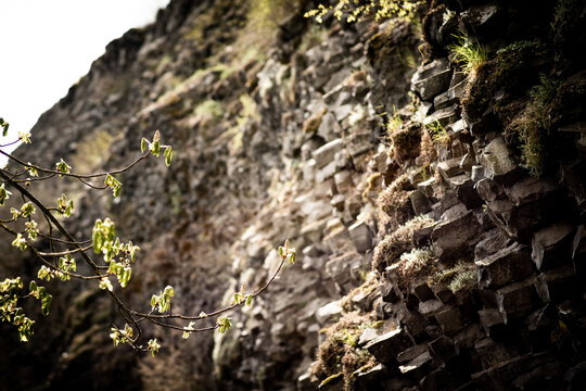 Parkstein Images – Browse 52 Stock Photos, Vectors, and Video | Adobe Stock