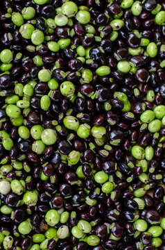 Imágenes de Alberja: descubre bancos de fotos, ilustraciones, vectores ...