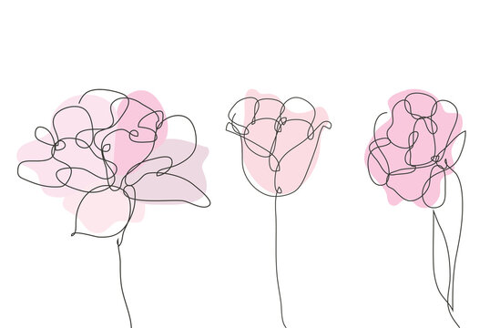 "Flower Outline" Imej – Semak Imbas 7 Foto, Vektor dan Video Stok ...