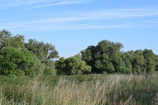 Ischim Bilder – Durchsuchen 676 Archivfotos, Vektorgrafiken und Videos ...