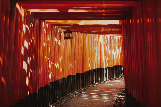 "Diminishing Perspective" Images – Browse 116,044 Stock Photos, Vectors ...