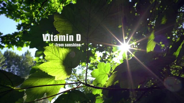 Vitmain Images – Browse 78 Stock Photos, Vectors, and Video | Adobe Stock