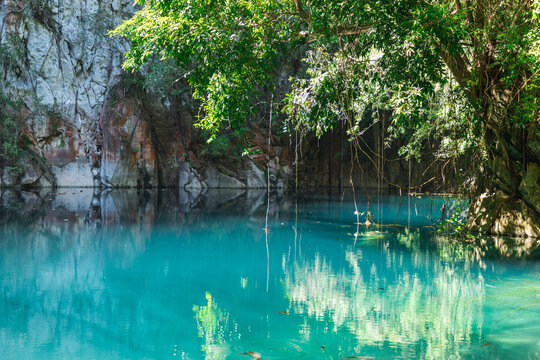Lom bilder – Bläddra bland 5,272 stockfoton, vektorer och videor ...