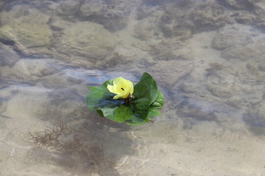 รูปภาพRadeau – เลือกดูภาพถ่ายสต็อก เวกเตอร์ และวิดีโอ362 | Adobe Stock