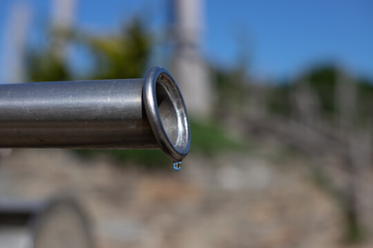 Imágenes de Meagerness: descubre bancos de fotos, ilustraciones ...