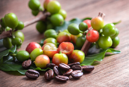 「Jamoke」の画像 - 4,530 件の Stock 写真、ベクターおよびビデオ | Adobe Stock