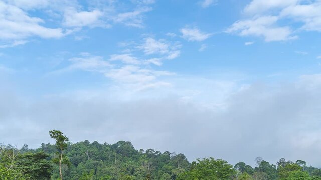 รูปภาพHala-Bala – เลือกดูภาพถ่ายสต็อก เวกเตอร์ และวิดีโอ141 | Adobe Stock