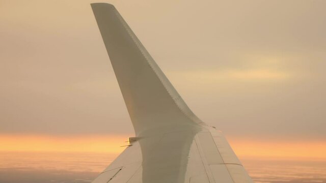 Winglet Images – Browse 3,457 Stock Photos, Vectors, and Video | Adobe ...