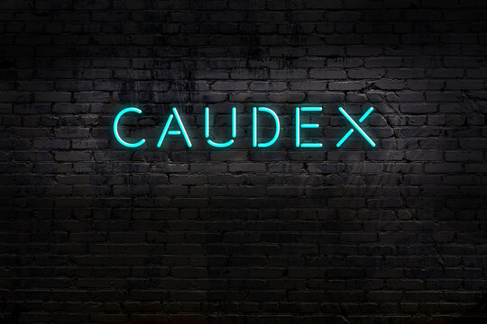 Caudex Images – Browse 1,256 Stock Photos, Vectors, and Video | Adobe Stock