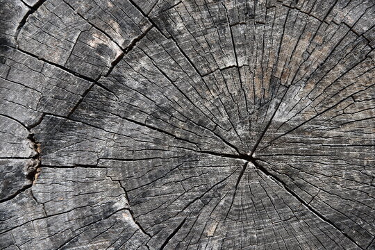 รูปภาพWaagerecht – เลือกดูภาพถ่ายสต็อก เวกเตอร์ และวิดีโอ2,673 | Adobe ...