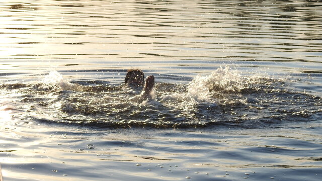 รูปภาพMischance – เลือกดูภาพถ่ายสต็อก เวกเตอร์ และวิดีโอ14,991 | Adobe ...