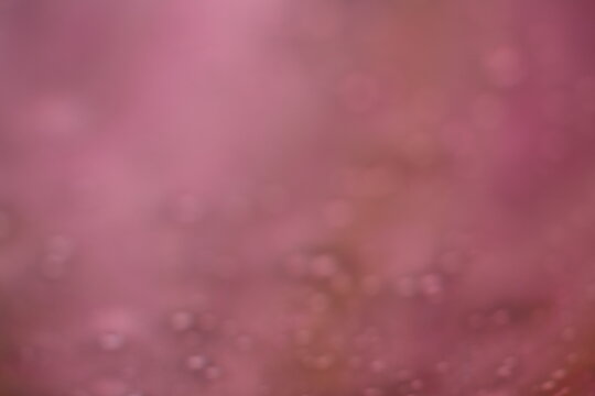 Off-Focus Images – Browse 53 Stock Photos, Vectors, and Video | Adobe Stock