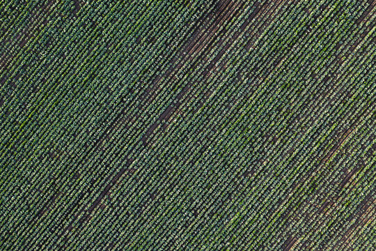 Lucre Images – Browse 3,122,877 Stock Photos, Vectors, and Video ...