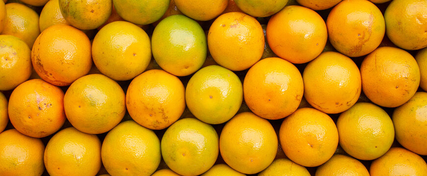 Laranjas Bilder – Durchsuchen 280 Archivfotos, Vektorgrafiken und ...