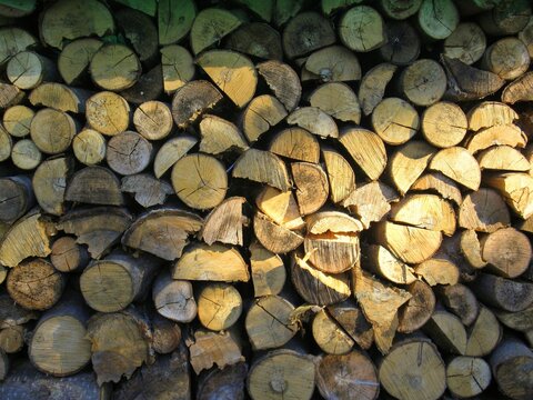 Imágenes de Legna: descubre bancos de fotos, ilustraciones, vectores y ...