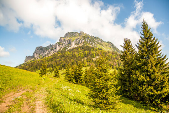 รูปภาพVelky – เลือกดูภาพถ่ายสต็อก เวกเตอร์ และวิดีโอ1,571 | Adobe Stock