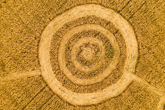 Alien Crop Circles Message
