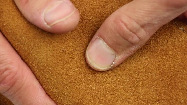 Seamy Images – Browse 1,587 Stock Photos, Vectors, and Video | Adobe Stock