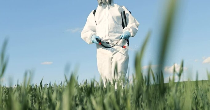 Fumigating Images – Browse 12,102 Stock Photos, Vectors, and Video ...