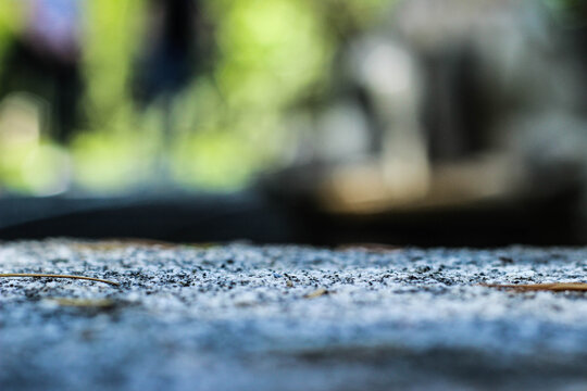"Surface Level" Images – Browse 79,646 Stock Photos, Vectors, and Video ...