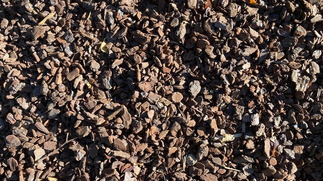 Mantillo Images – Browse 51 Stock Photos, Vectors, and Video | Adobe Stock