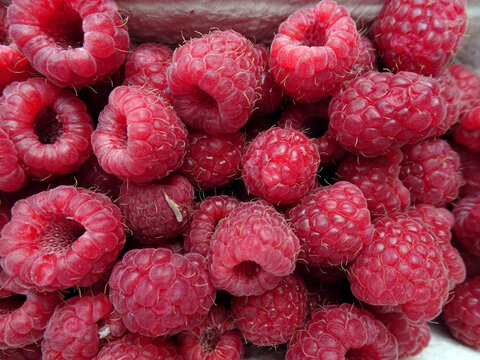 Framboise Bilder – Durchsuchen 62,448 Archivfotos, Vektorgrafiken und ...