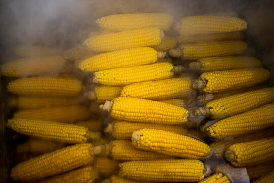 รูปภาพCostermonger – เลือกดูภาพถ่ายสต็อก เวกเตอร์ และวิดีโอ213 | Adobe ...