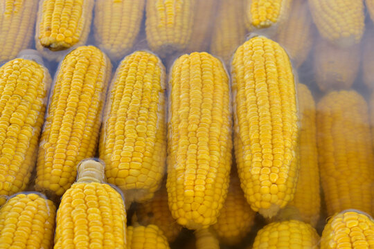 รูปภาพCostermonger – เลือกดูภาพถ่ายสต็อก เวกเตอร์ และวิดีโอ213 | Adobe ...