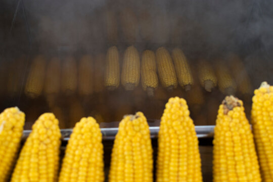 รูปภาพCostermonger – เลือกดูภาพถ่ายสต็อก เวกเตอร์ และวิดีโอ213 | Adobe ...