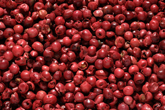 รูปภาพPiperin – เลือกดูภาพถ่ายสต็อก เวกเตอร์ และวิดีโอ594 | Adobe Stock