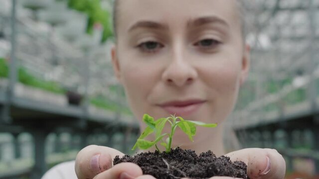 Plant Face Images – Browse 421,069 Stock Photos, Vectors, and Video ...