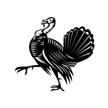 Wild Turkey Stencil