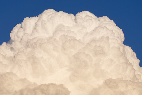 รูปภาพCumulon – เลือกดูภาพถ่ายสต็อก เวกเตอร์ และวิดีโอ100 | Adobe Stock