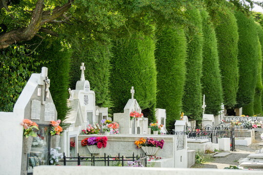 Labaru Images – Browse 63 Stock Photos, Vectors, and Video | Adobe Stock