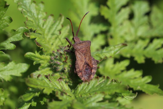 Marg Bilder – Durchsuchen 763 Archivfotos, Vektorgrafiken und Videos ...