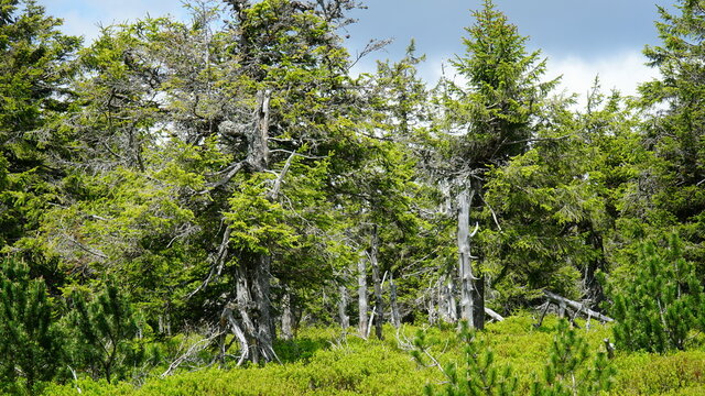 "Las Iglasty" Images – Browse 269 Stock Photos, Vectors, and Video ...