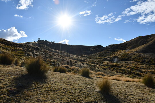 Imágenes de Ichu: descubre bancos de fotos, ilustraciones, vectores y ...