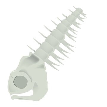 รูปภาพFishbone – เลือกดูภาพถ่ายสต็อก เวกเตอร์ และวิดีโอ5,521,679 ...