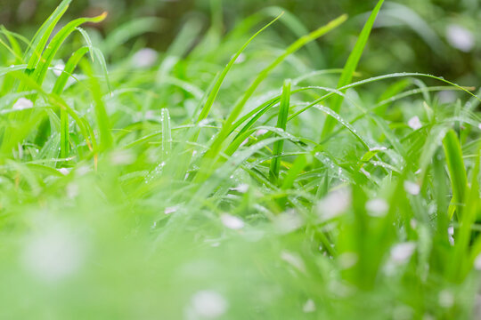 รูปภาพAuttum – เลือกดูภาพถ่ายสต็อก เวกเตอร์ และวิดีโอ151 | Adobe Stock