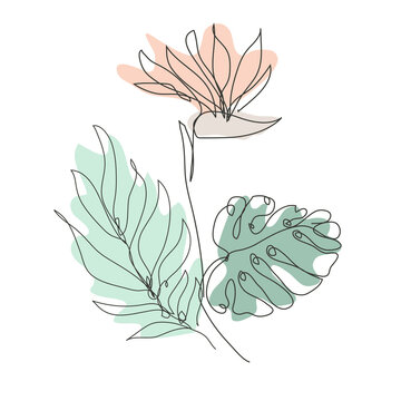 "Flower Outline" Imej – Semak Imbas 7 Foto, Vektor dan Video Stok ...