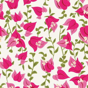 Bugambilia Images – Browse 1,190 Stock Photos, Vectors, and Video ...