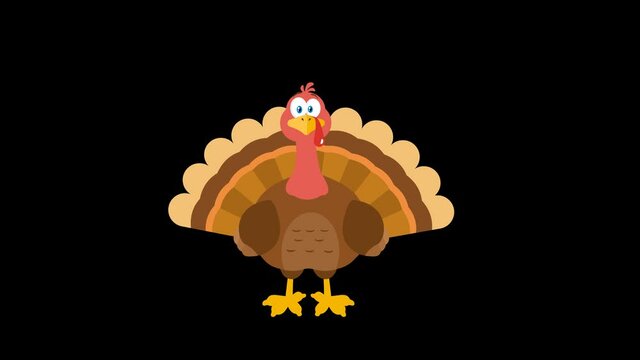 Animated Thanksgiving