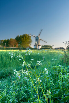 Bockwindmühle Bilder – Durchsuchen 1,378 Archivfotos, Vektorgrafiken ...