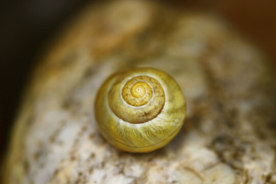 รูปภาพFusee – เลือกดูภาพถ่ายสต็อก เวกเตอร์ และวิดีโอ562 | Adobe Stock